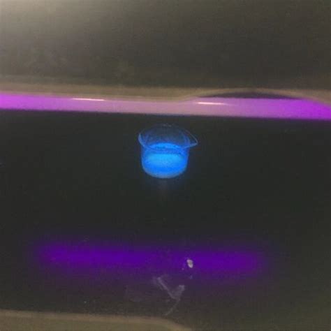 Fluorescence Observed From Zns Quantum Dots When Placed In The Uv