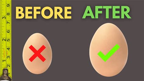 5 Proven Ways To Increase Size Of Testicles How To Get Bigger