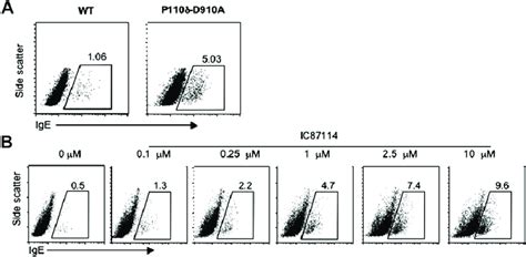 Fig E1 Inhibition Of P110d Activity Potentiates Ige Class Switch In