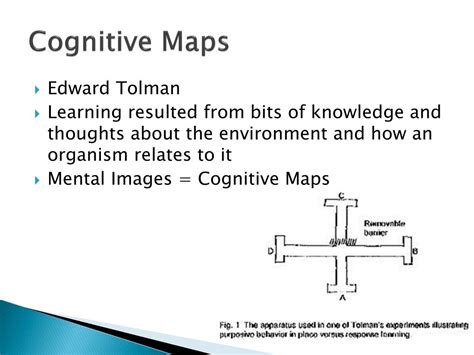 Ppt The Psychology Of Learning Powerpoint Presentation Free