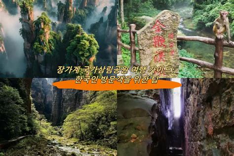 장가계 국가삼림공원 가이드 한국 여행자를 위한 추천