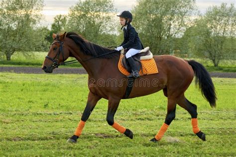 Jóquei Da Menina Que Monta Um Cavalo Através Do País No Equipamento
