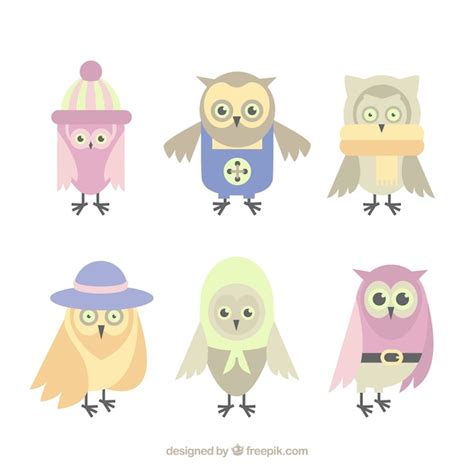 Seite 4 Eulen Bilder Kostenloser Download Auf Freepik