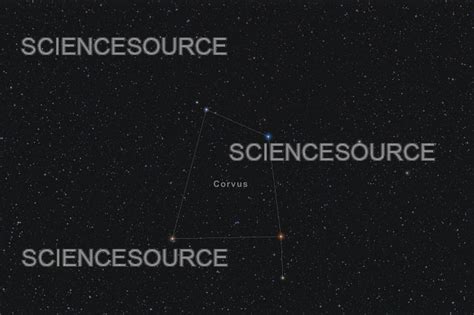 Corvus Constellation Crow Corvus Constellation Crows Raven Stars