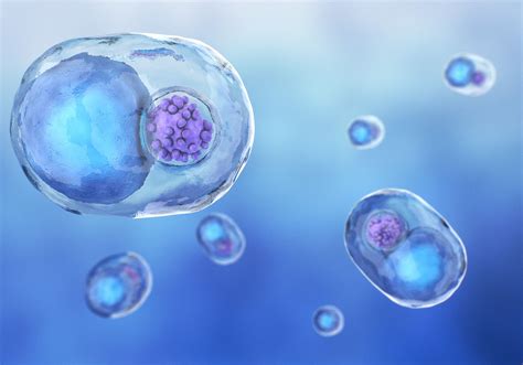 Chlamydia Pneumoniae Infection