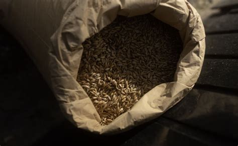 Sanofi Elevated Lean Manufacturing System And Sqcdp Practices