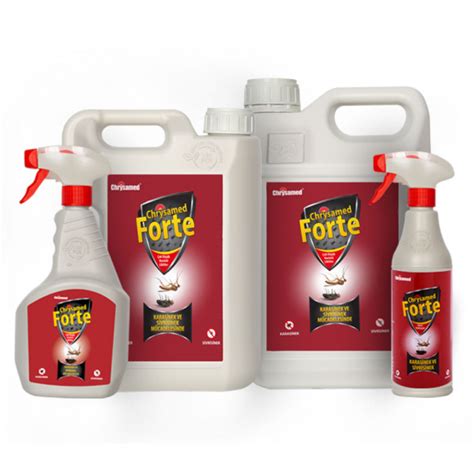 Chrysamed Forte HaŞere ÖldÜrÜcÜ Karasİnek Sİvr 2024