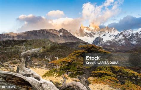 Los Glaciares National Park Santa Cruz Province Patagonia Argentina