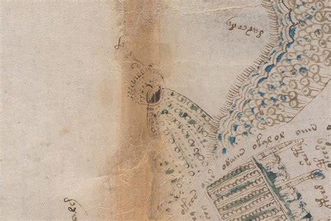 Voynich Manuskript Middelalderbog Handler Om Sex Historienetdk