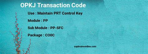 Opkj Sap Tcode For Maintain Prt Control Key