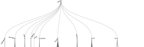 How Does D Js Version Figure Out It Is A Radial Tree Layout Stack Overflow