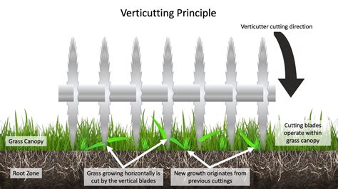 Verticutter Cassette For Hyundai Hysc210 Cobra S40c Sherpa St40 S F