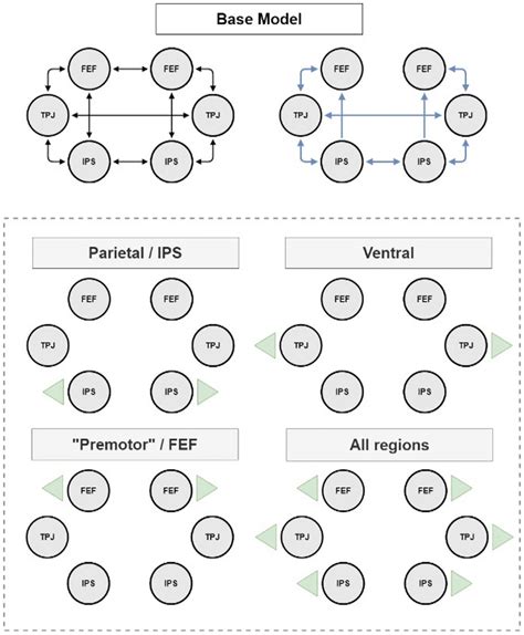 Top Row Basic Structure Of The Dcm And Bdcm Models Regions Were Fully Download Scientific