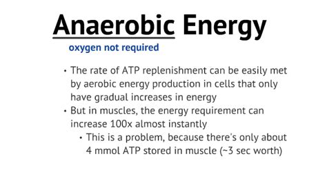 Bioenergetic Processes By David Elmer On Prezi