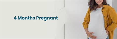 4 Months Pregnant What To Expect In Your Pregnancy Journey