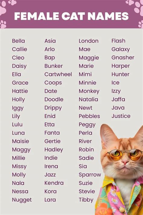 Female Cat Names Cute Cat Names Female Unique Cute Cat Names For