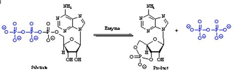 Solved What Is The Name Of The Product In The Following