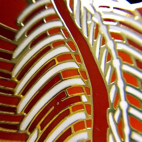 The Flayed Angel Enamel Pin Art And Anatomy T Etsy