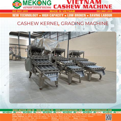 Cashew Kernel Grading Machine