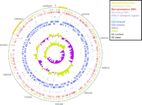 Variation Genome Circle Genome Circle Showing The Distribution Of