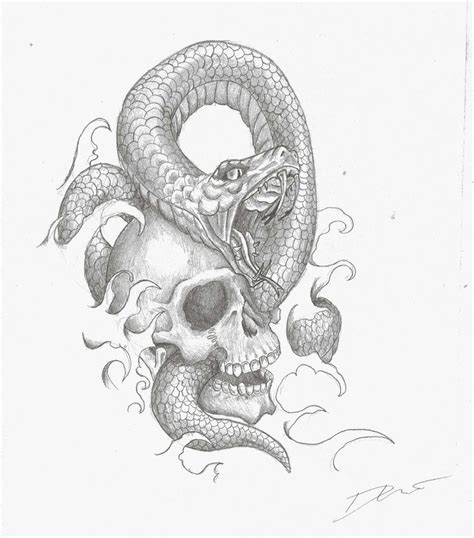 Skull Snake Drawing At Getdrawings Free Download