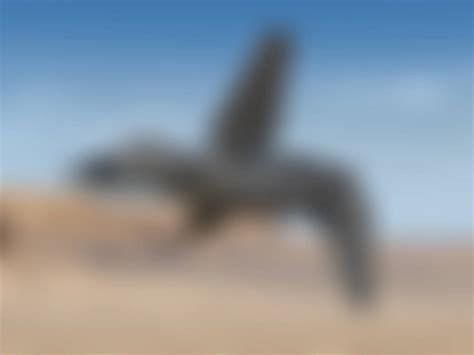 Sentinel Class Landing Craft By Unusualsuspex On Deviantart