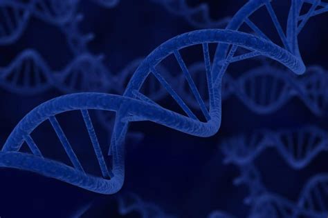 Crispr Gene Editing Technology Cleanroom Connect