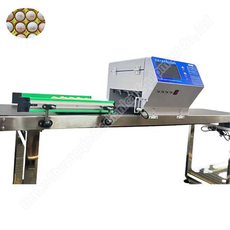 Egg Grading Coding Machine Egg Stamping Printing Machine Egg Printer