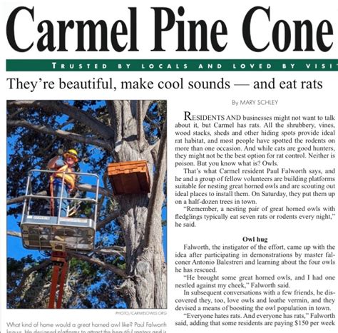 Pine Cone Front Page News Carmel Owls