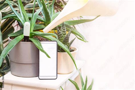 Flower Plant Care Concept Watering Can And Soil Water Sunlight Sensor Tester Monitor