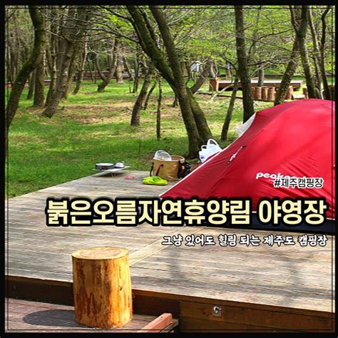 제주도 캠핑장 제주 붉은오름자연휴양림 야영장 4월 자세히 알아보기 네이버 블로그