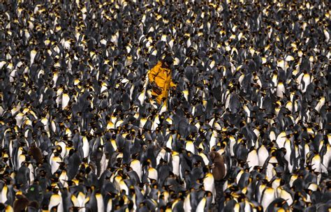 French Southern And Antarctic Lands Tourism