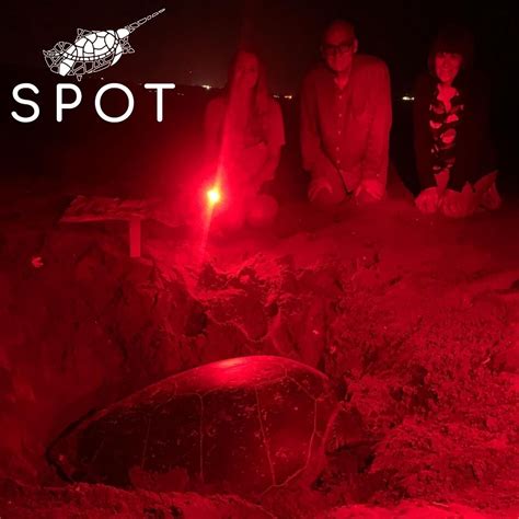 Spot Marine Life On Linkedin Roger De Freitas Will Match Your 2024 Crowdfunder Donations Spot…