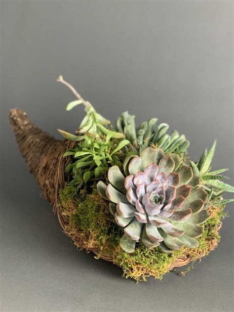 Succulent Cornucopia Standard Fall Flower Arrangements Cornucopia