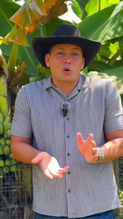 Aprende Sobre Platanitos Fruta 🍌🌳 Nuevo Video Disponible Ya En El Canal 🎥 Youtube