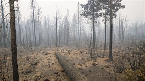 Smith River Complex Fire Crosses Into Oregon From California