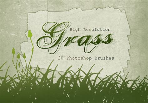 20 Grass Silhouette Ps Brushesabr Vol6 Free Photoshop Brushes At