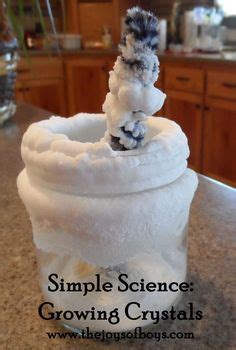10 Science Fair Project Crystals Ideas Growing Crystals Science