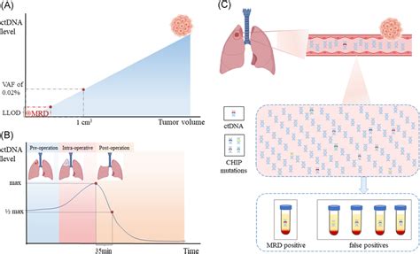 Challenges Of Postoperative Mrd Detection Based On Ctdna A The