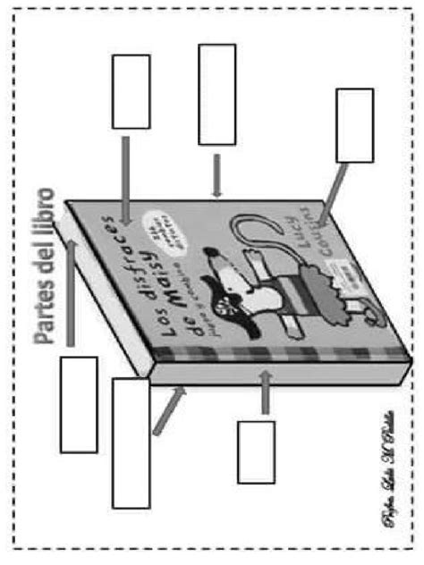 Partes Del Libro Pdf