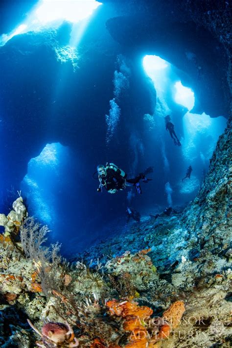 Scuba Dive Palau Ultimate Scuba Diving Packing List For Palau
