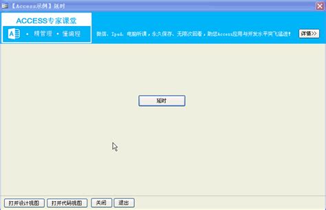 【access源码示例】延时函数【access软件网】