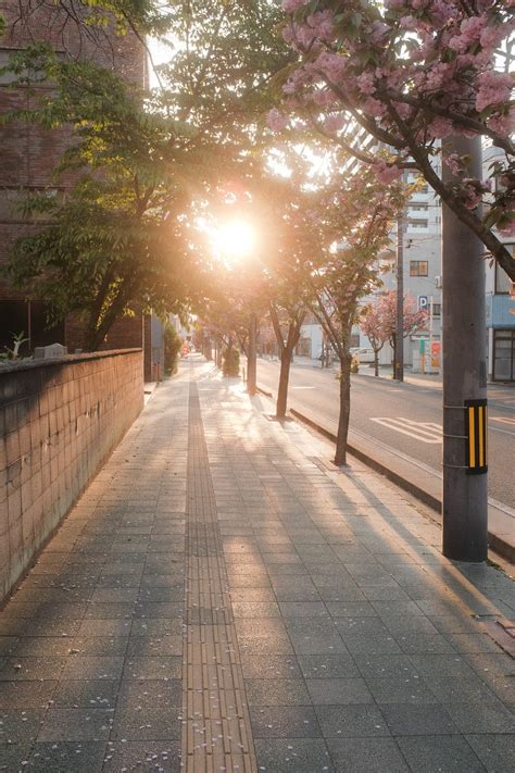 Footpath Segmentation Instance Segmentation Dataset And Pre Trained