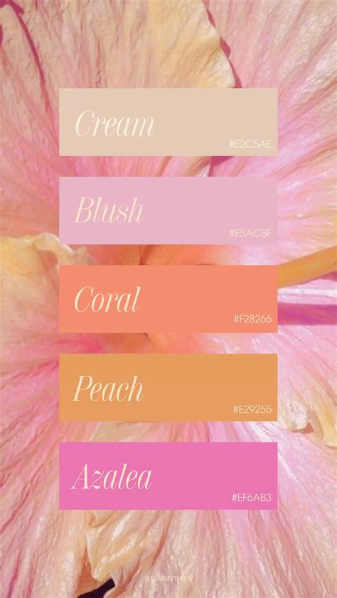 Best 13 Spring Color Palette Springcolorpalette Colorpalette Spring
