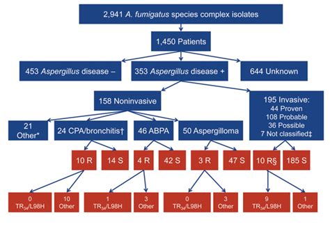 Figure 2 Prospective Multicenter International Surveillance Of Azole