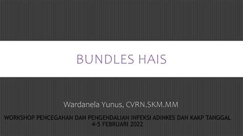 Bundles Hais Kappptx