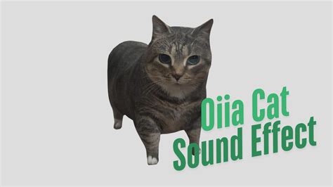 超簡単！oiia Cat 聲音效果怎麼製作