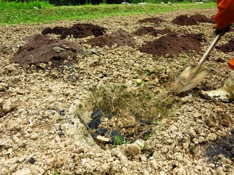 粘土質の田から畑への土壌改良（有機栽培・排水処理）・点穴埋め戻し（矢野智徳・大地の再生講座） 都市と田舎の架け橋に 味よし人よし笑顔よし