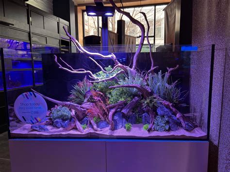 Store Picasso Exotics