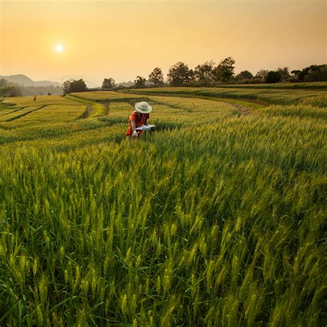 Agbio 2017 No4 Designno4 Design